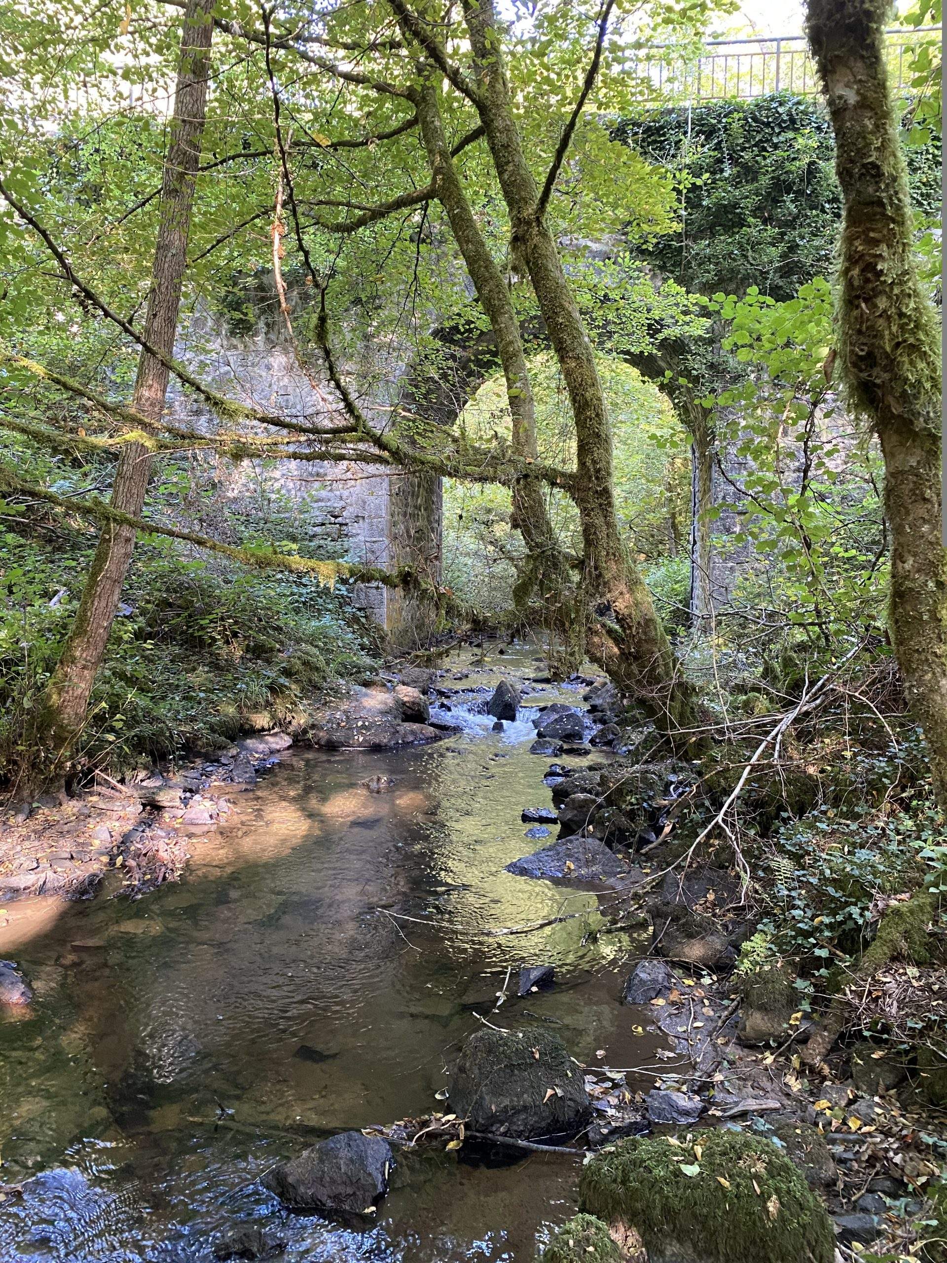 Revistas – SIBECOL